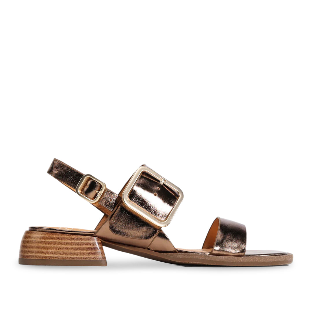 EOS Ikam Bronze – House of Florian